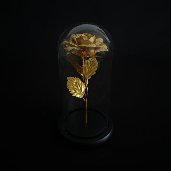 LA ROSE FLOWER | Transparent Glass Dome Rose Gift | Buy Artificial Rose ...